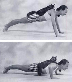 GLOGIRLY: Catflexing