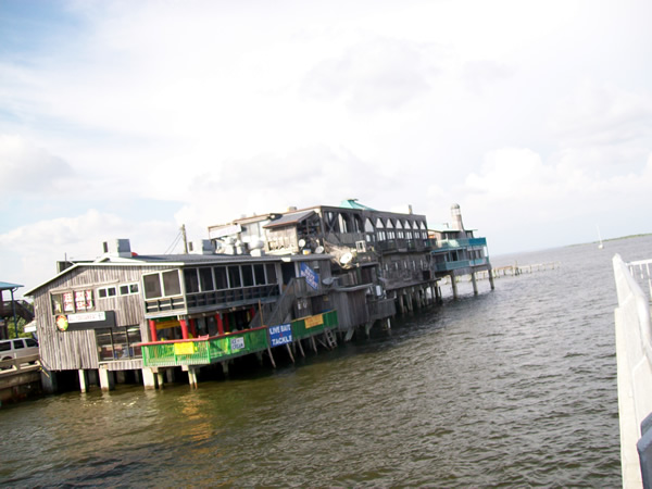 Aussies in Florida: The Shell Mound and Cedar Keys...