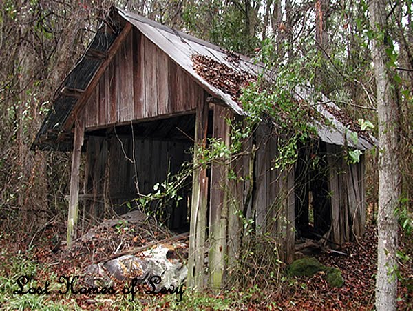 Lost Homes of Levy Co