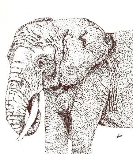 Dusty's Doodles: Stipple Drawings