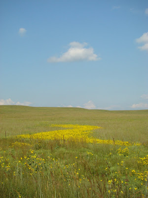Council Grove, Kansas: Country Scenes Around Morris County