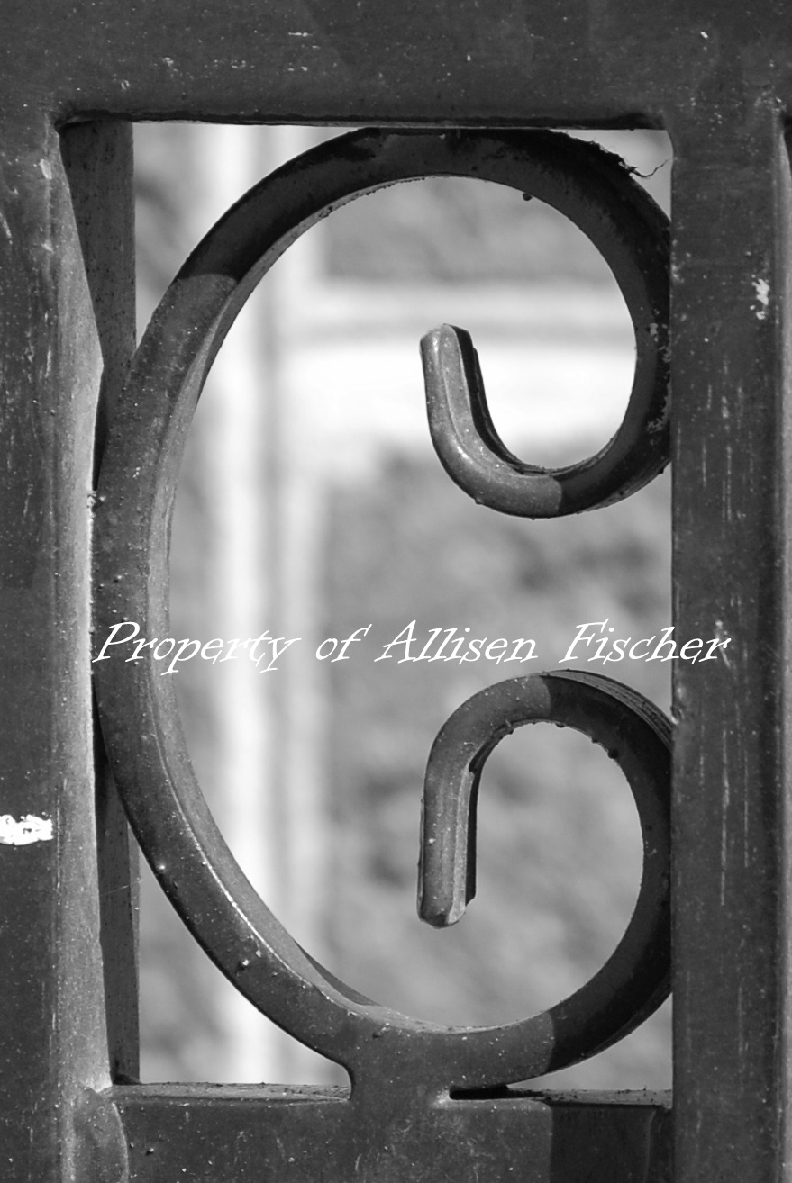 Lettography (Letter Photography): C