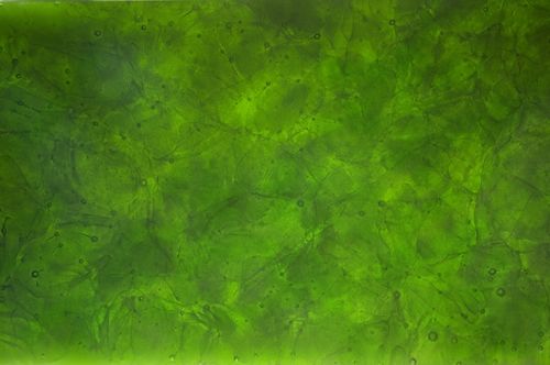 Bio Glass by ECOverings | Globally Gorgeous