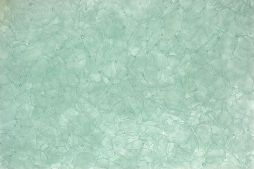 Bio Glass by ECOverings | Globally Gorgeous