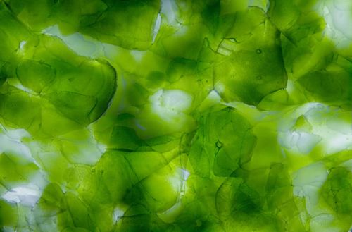 Bio Glass by ECOverings | Globally Gorgeous