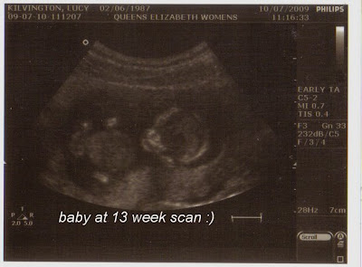 My Pregnancy Journal