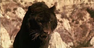 El píxel del bosque: TIgre negro