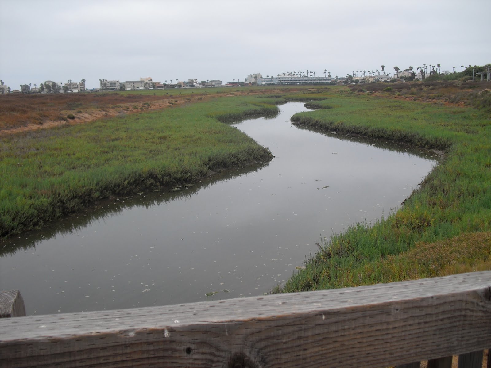 Walking Here and There!: Tijuana River Estuary (#25)