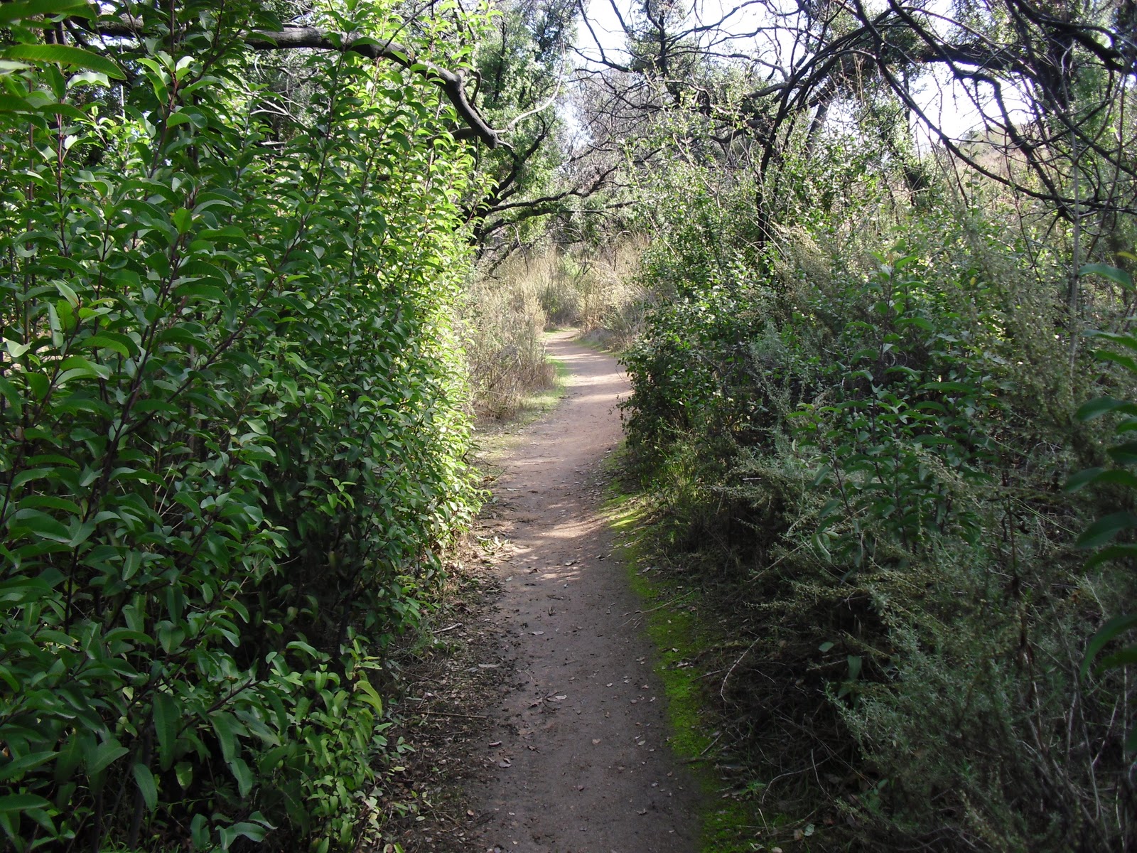 Walking Here and There!: Blue Sky Ecological Reserve (#39)