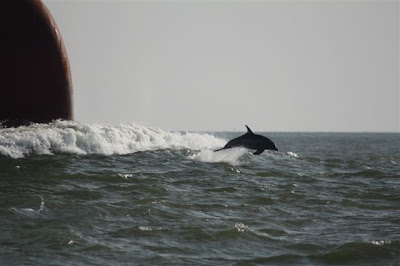 Storyville: Memorial Day - Offats Bayou