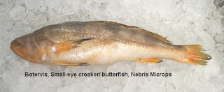 Export Suriname Products: Small eye croaker/Butterfis