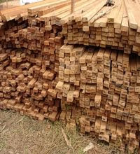 Export Suriname Products: Wood - Timber