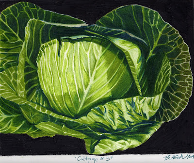 Amah Art: "Cabbage #5" Colored pencil Drawing
