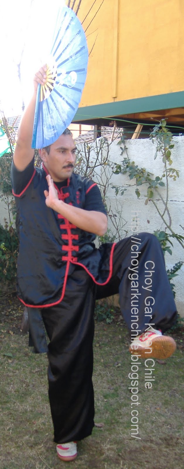 Choy Gar Kuen Chile Kung Fu Tradicional: Tai Chi Chuan / Chi Kung