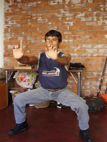 Choy Gar Kuen Chile Kung Fu Tradicional: Choy Gar/ Hung Gar en Perú