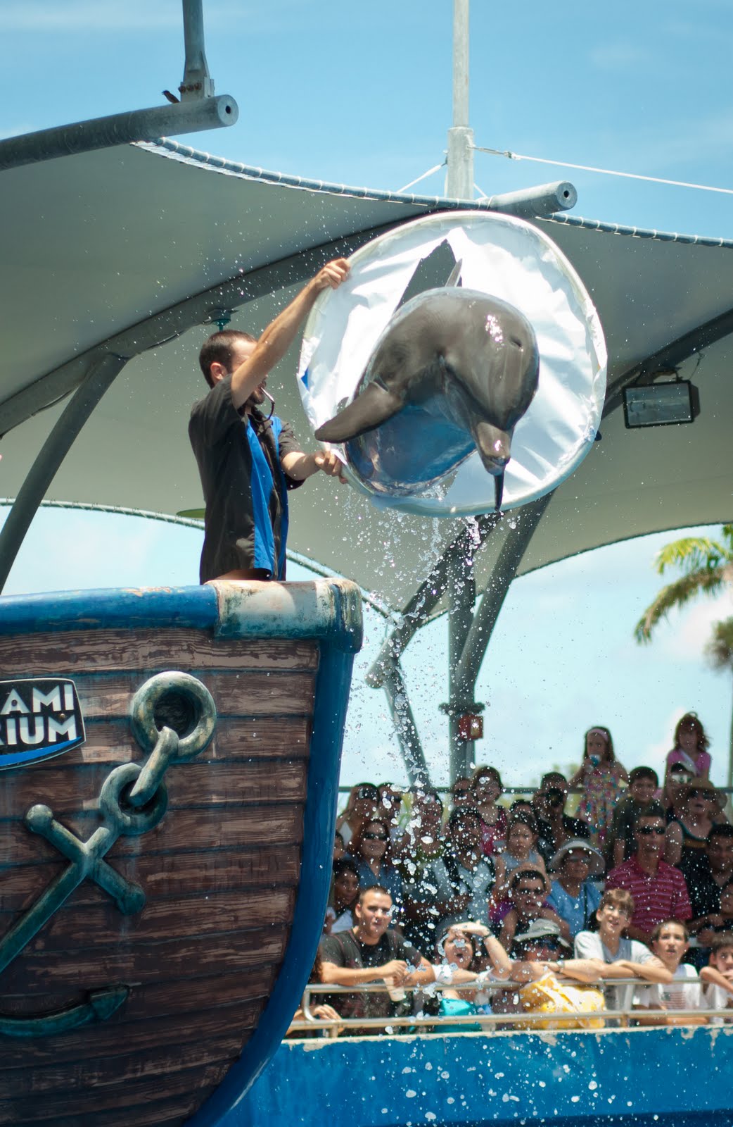 Addison, Finn & Avery: Miami Seaquarium