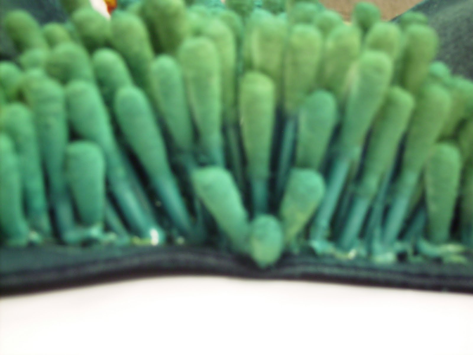 Stacey Lapper: unique cactus bra...