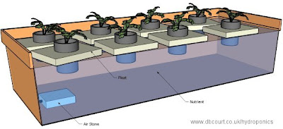 produce: Different hydroponic methods