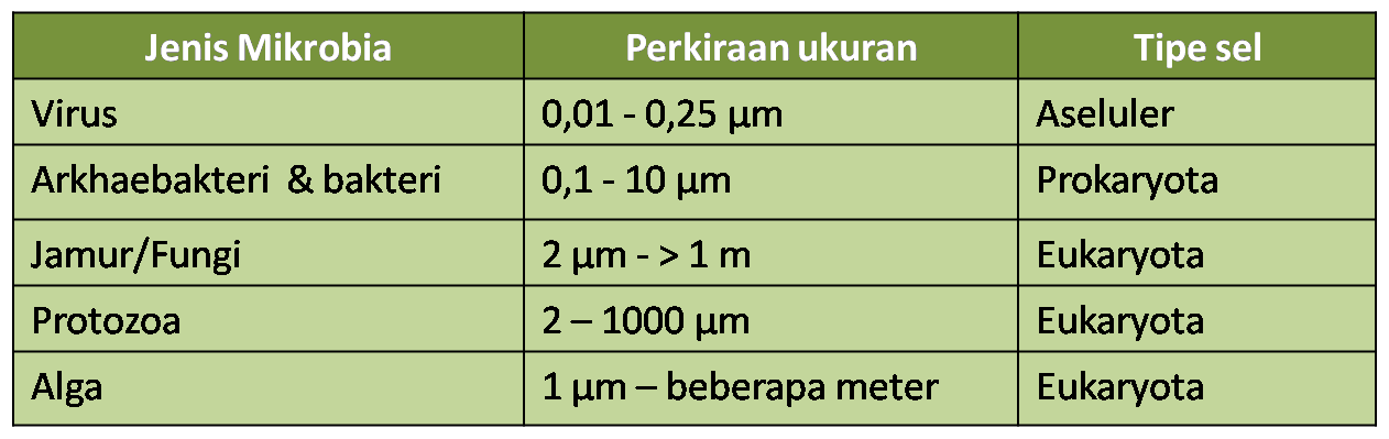 Belajar Mikrobiologi Industri