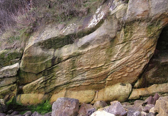 Giant eurypterid trackway ~ Hudson Valley Geologist