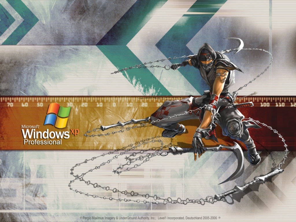 Free PC Wallpapers: Ninja Windows XP