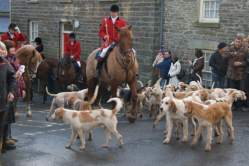 My English class: December 2010