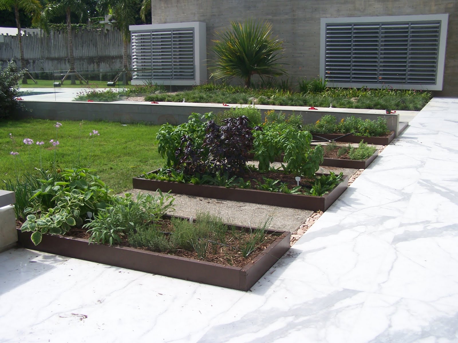 Servicios | desdemihuerto