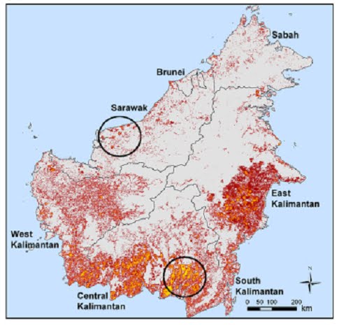 weltanschuuang: Fires in Borneo track El Nino