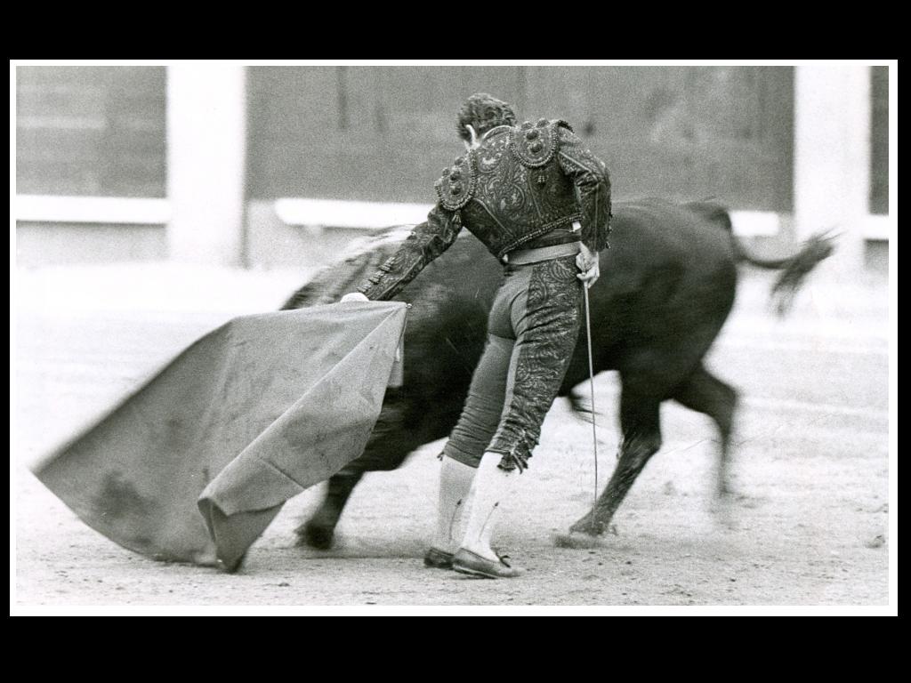 Salmonetes Ya No Nos Quedan: La tarde en que Paula inmortalizó a ...