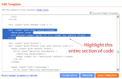 Blogger Buster: 01/09/2008 - 01/10/2008