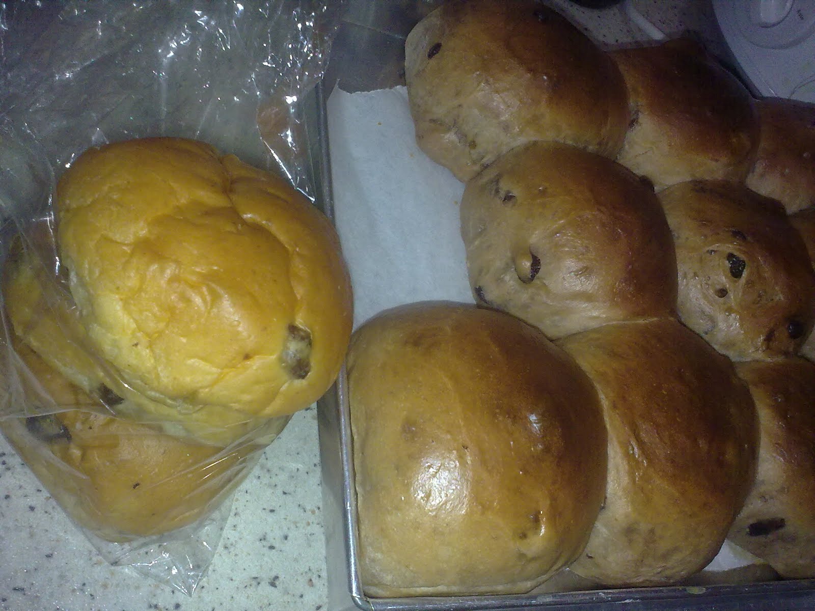 Jes's Deli Corner: Choc Chip & Raisin Bun