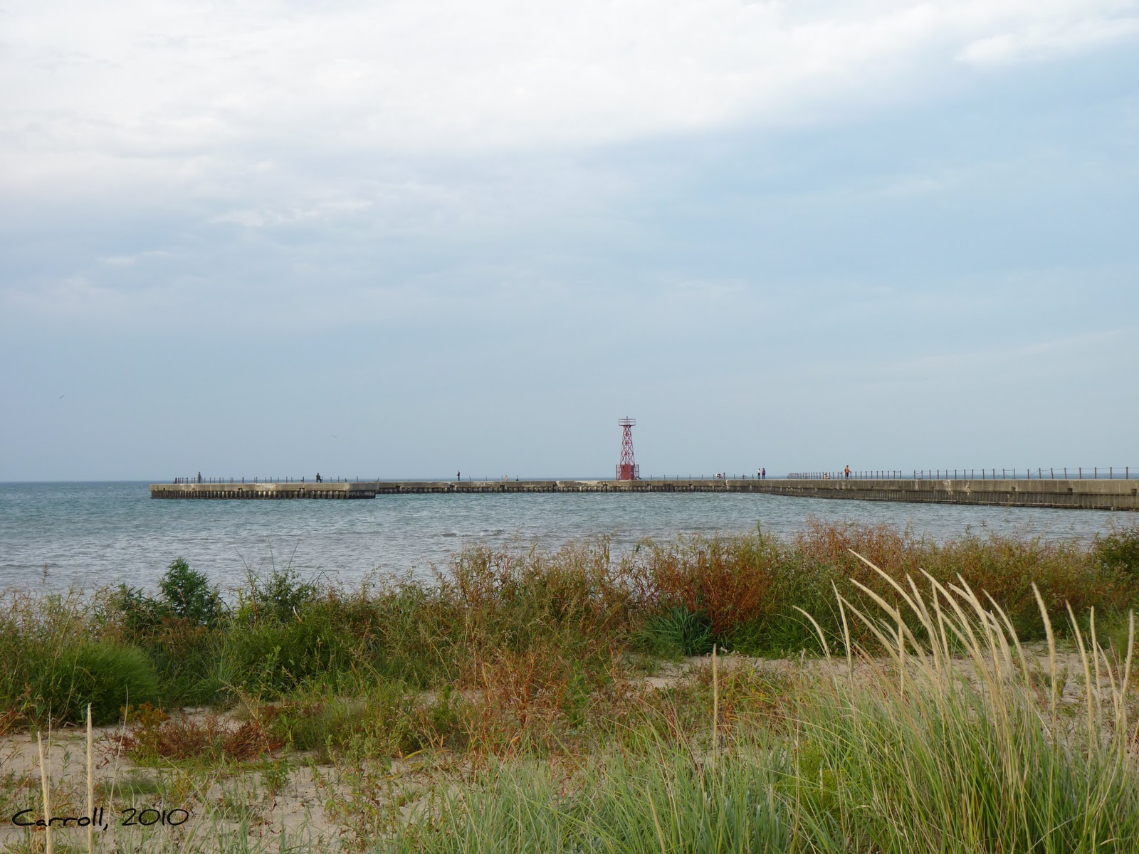 Into the Woods and Elsewhere: Birding Chicago: lakeside parks and the ...