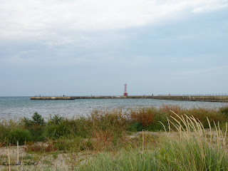 Into the Woods and Elsewhere: Birding Chicago: lakeside parks and the ...