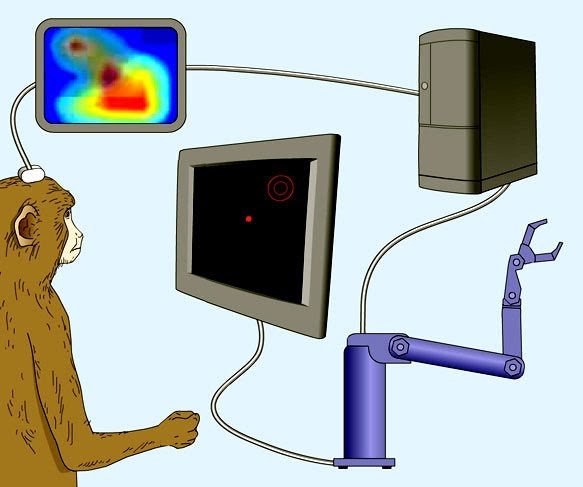 The Alien Next Door: What’s BMI and Why Should I Care?