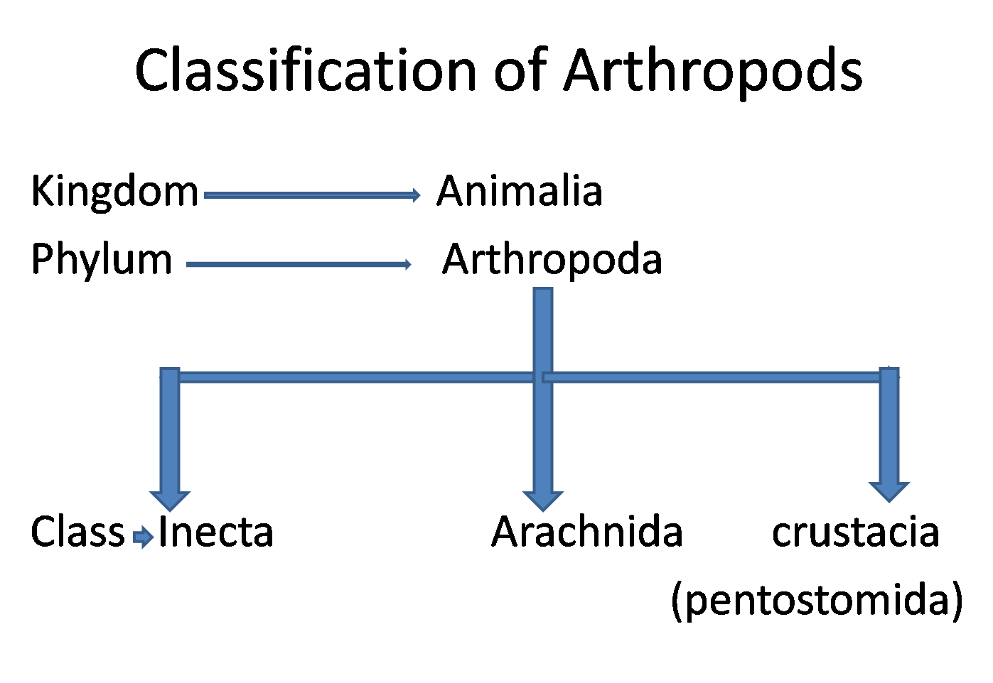Protect Health.......Protect Life: Classification of Arthropods