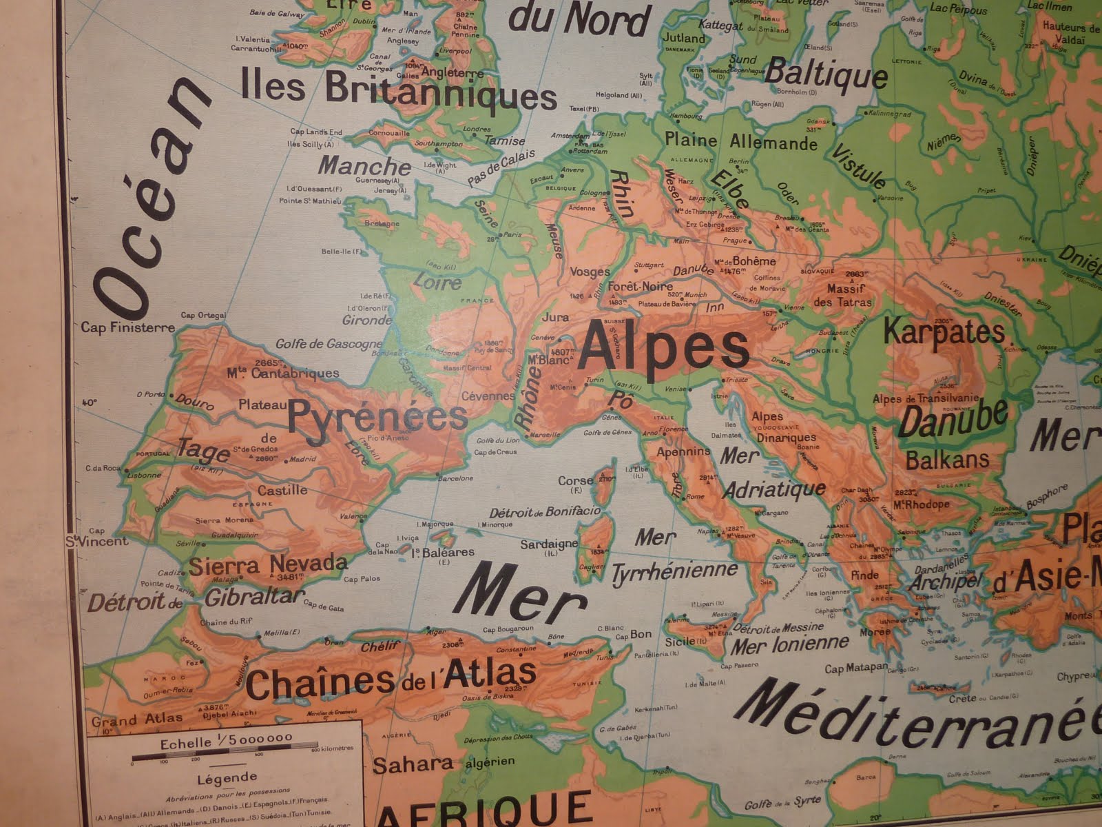 Vintage French Posters Botany Animals Anatomy, old World Maps from ...