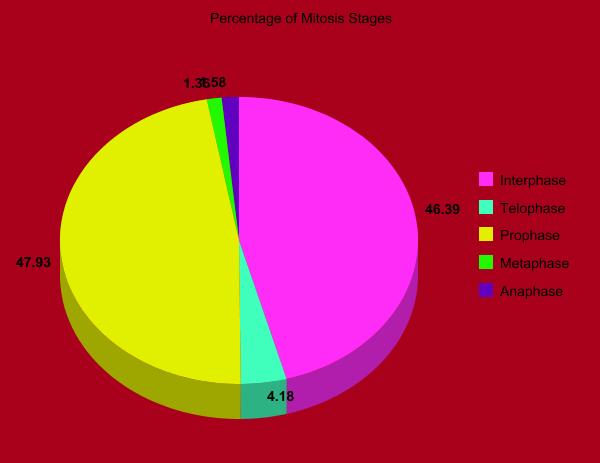 Kandace's Biology Blog: Onion Root Mitosis Lab!!!!! =)