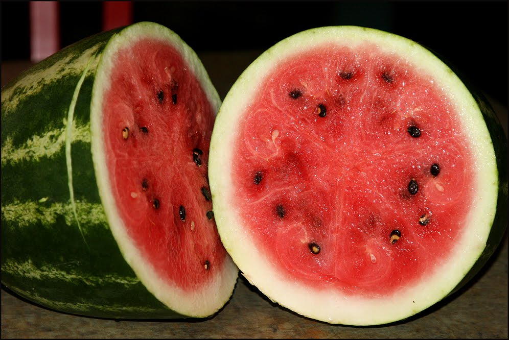 Suburban Sharecroppers: Watermelons!