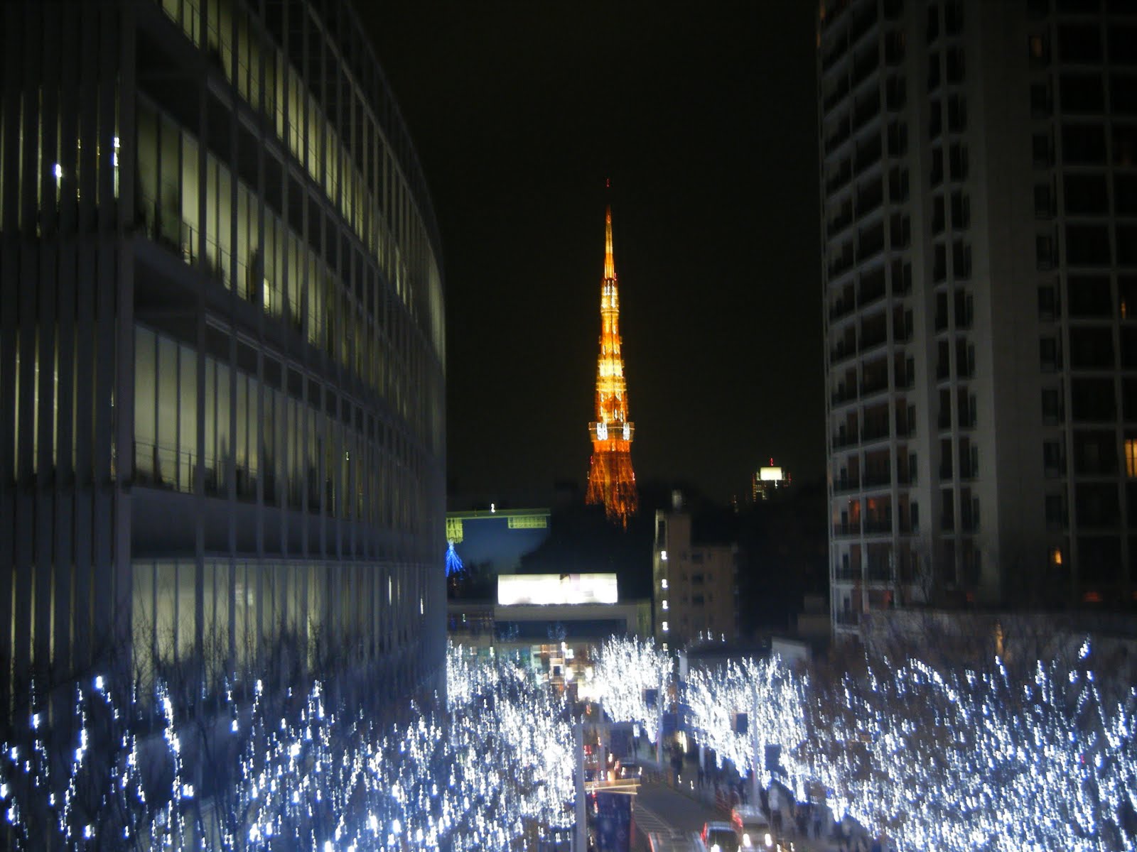 Mysterious Japan: Beautiful Illuminations In Tokyo