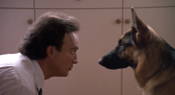 You are now a Dog! | SpaceBattles Forums