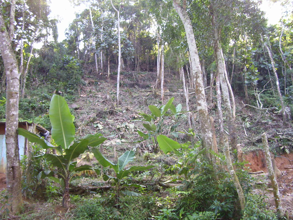 MOVIMENTO PRÓ-MATA SETE CRUZES