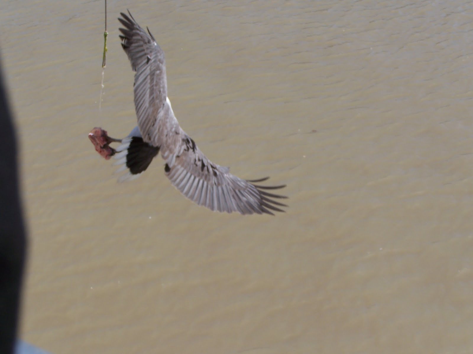 Brock & Adam's Holiday Adventure: Corroboree Park and Humpty Doo