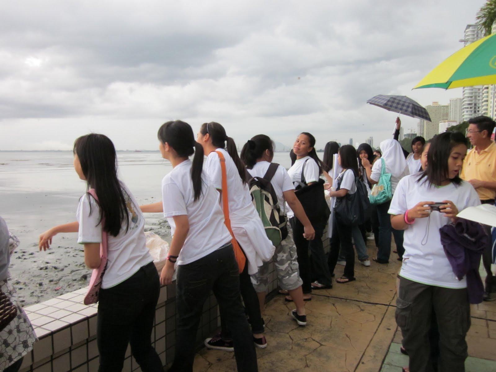 MGS Environmental Blog: Mudball Throwing at Gurney