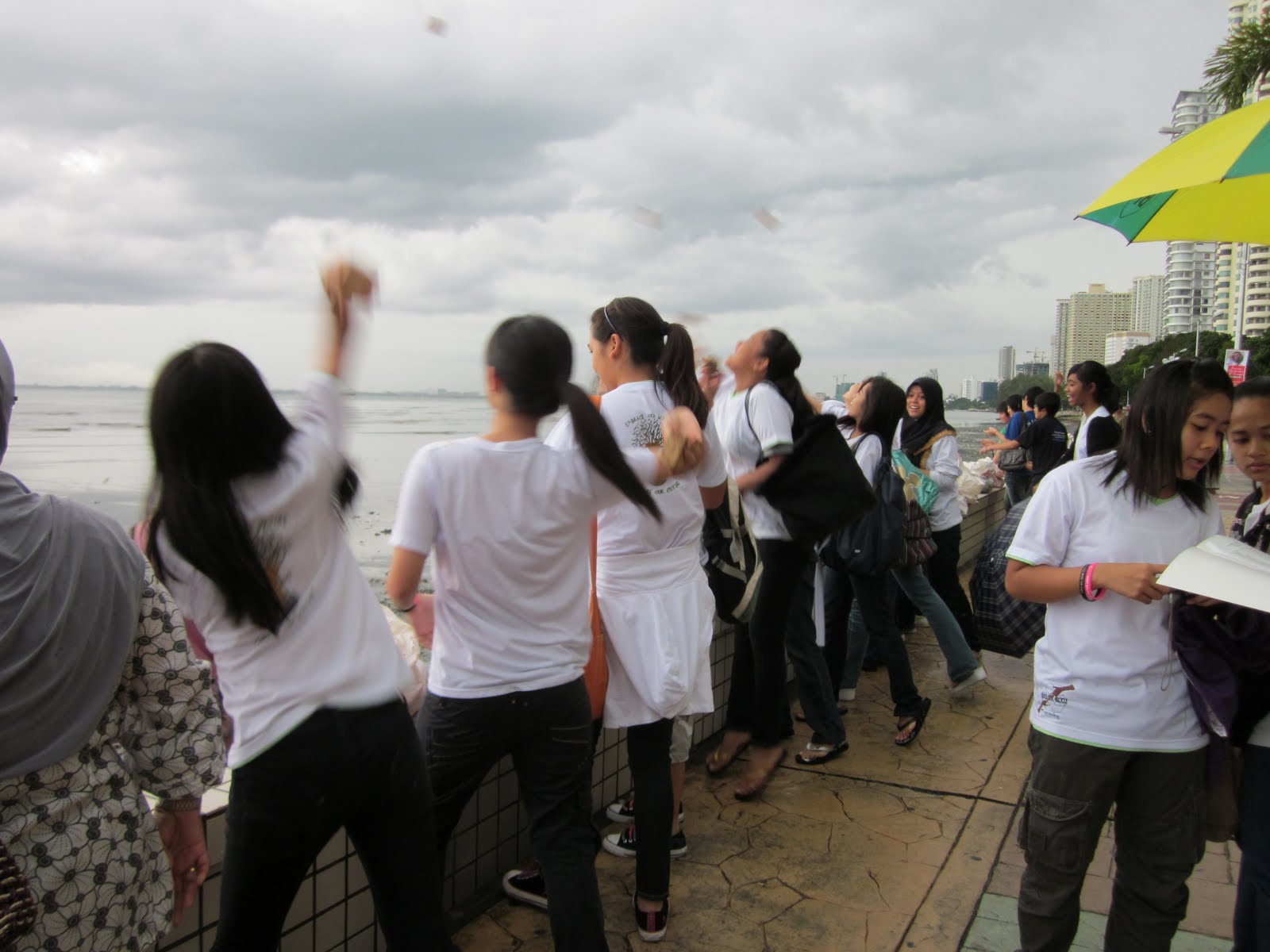 MGS Environmental Blog: Mudball Throwing at Gurney