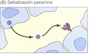 Scheflera: Incorporar la Información Seleccionada a su propia Base de ...