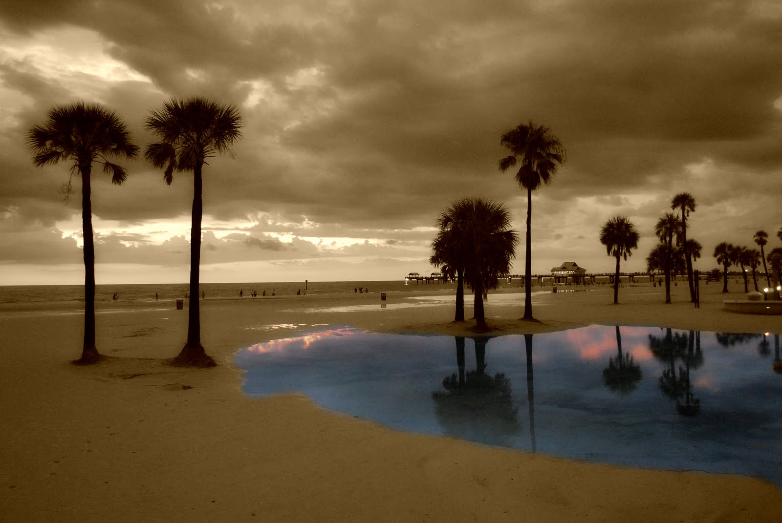 Desert Dreaming: Color Splash...