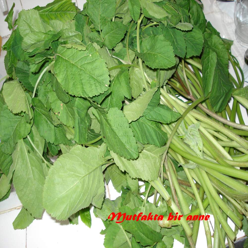 YEMEK MUCİZELERİ: MENDEK OTU YEMEĞİ