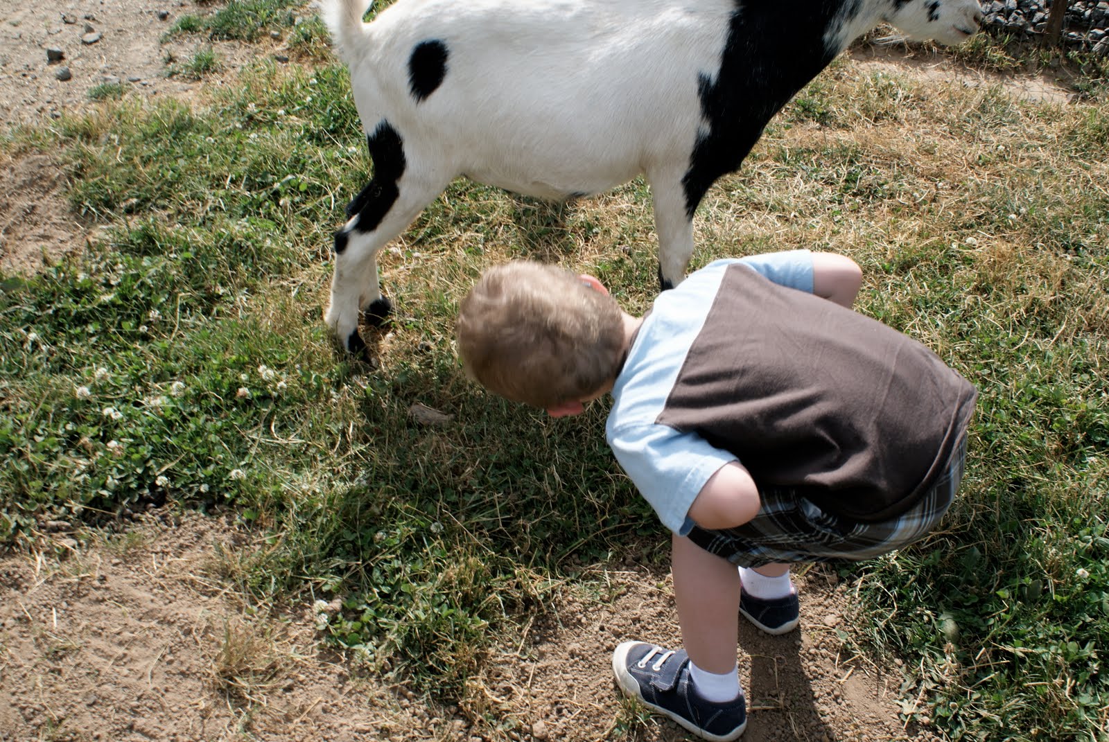 The Wright Family: Fun and the farm