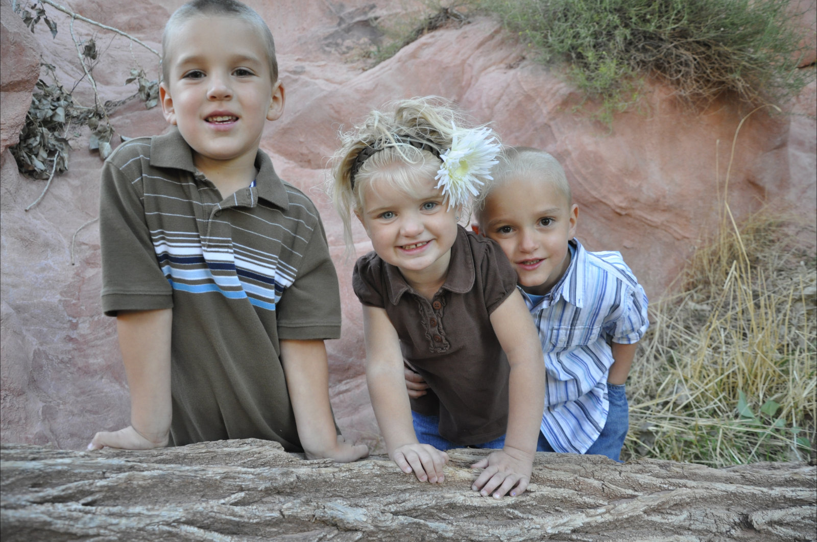 Custom Cut Cards: Twins Turning 4 Birthday Card