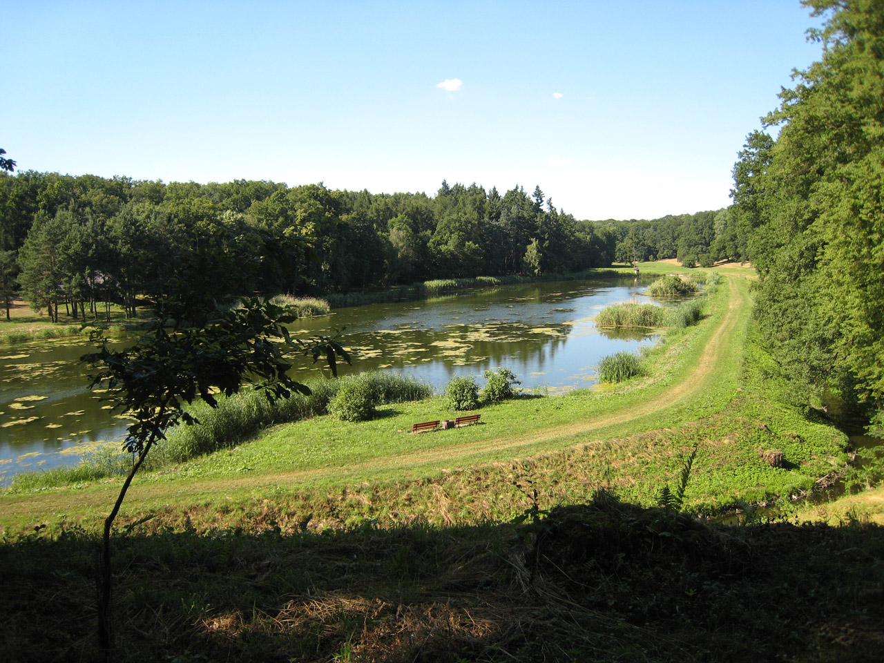 Photos et Voyages: Pologne ( Poland ) - Goluchow - Parc forestier